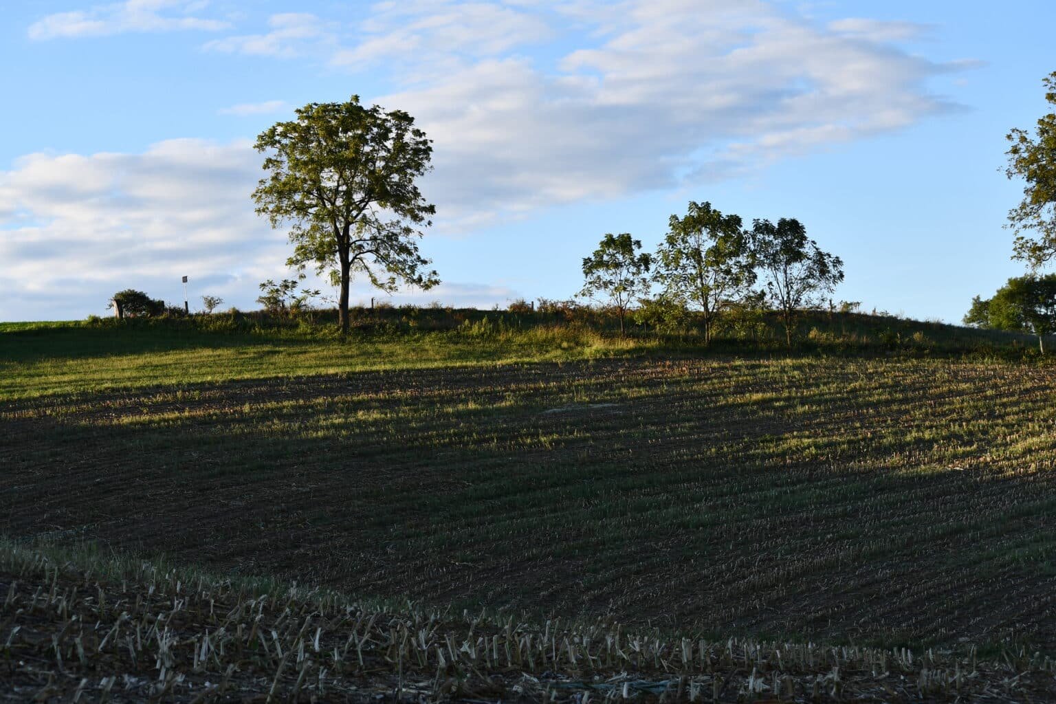 About - Skyview Decker & Old Dominion Terriers